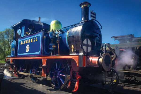 Bluebell Railway trio to steam again! - The Bluebell Railway in Sussex