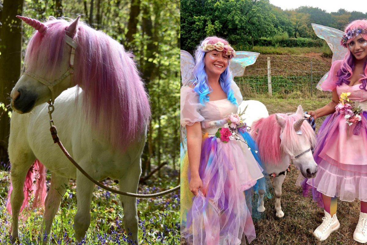 Unicorn Weekend - The Bluebell Railway in Sussex