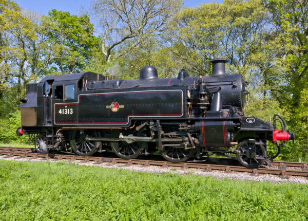 Bluebell Railway Branch Line Gala - The Bluebell Railway in Sussex